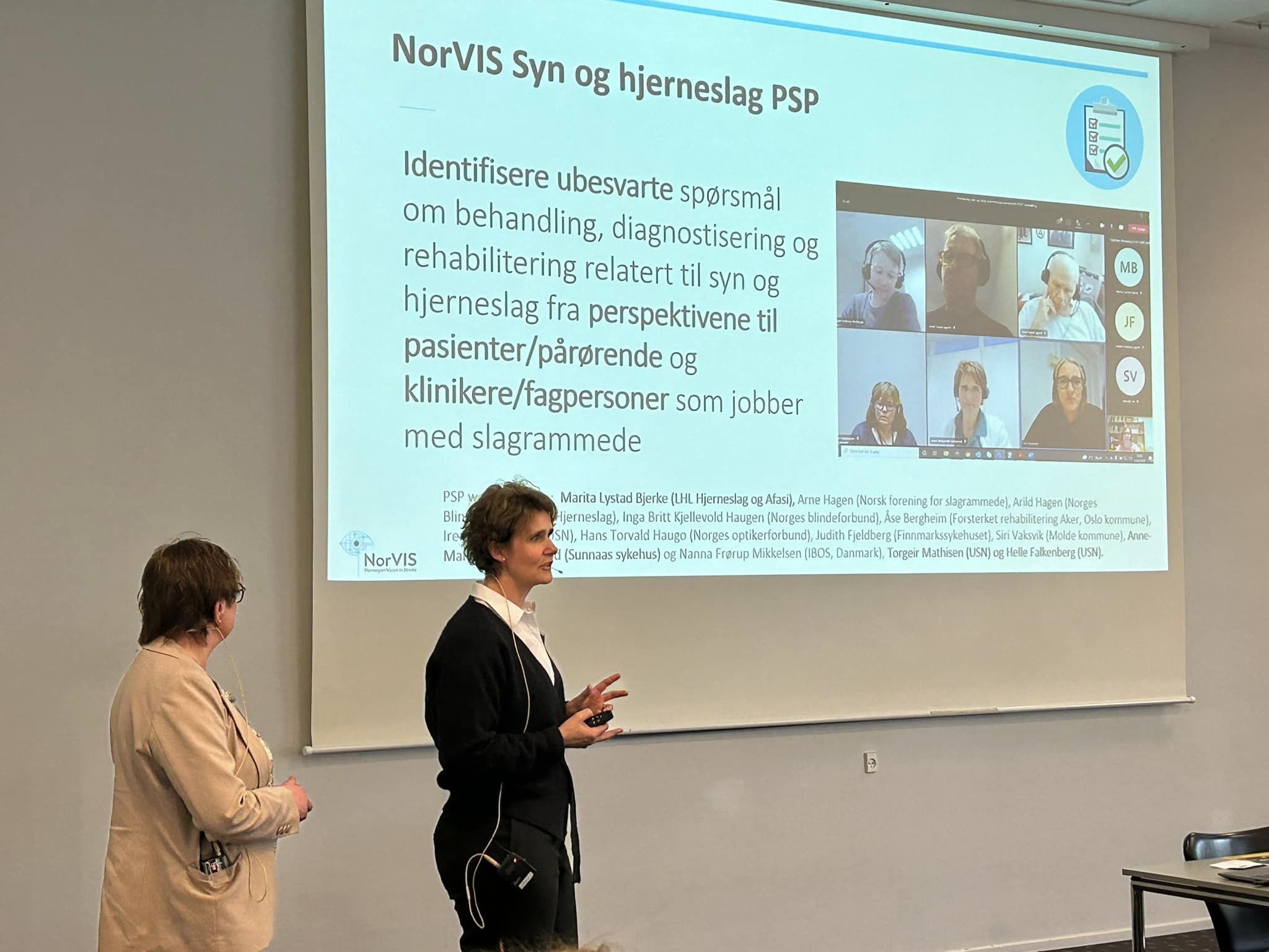 Noen glimt fra konferansen Syn & Hjerne - Norsk nettverk for syn og ...